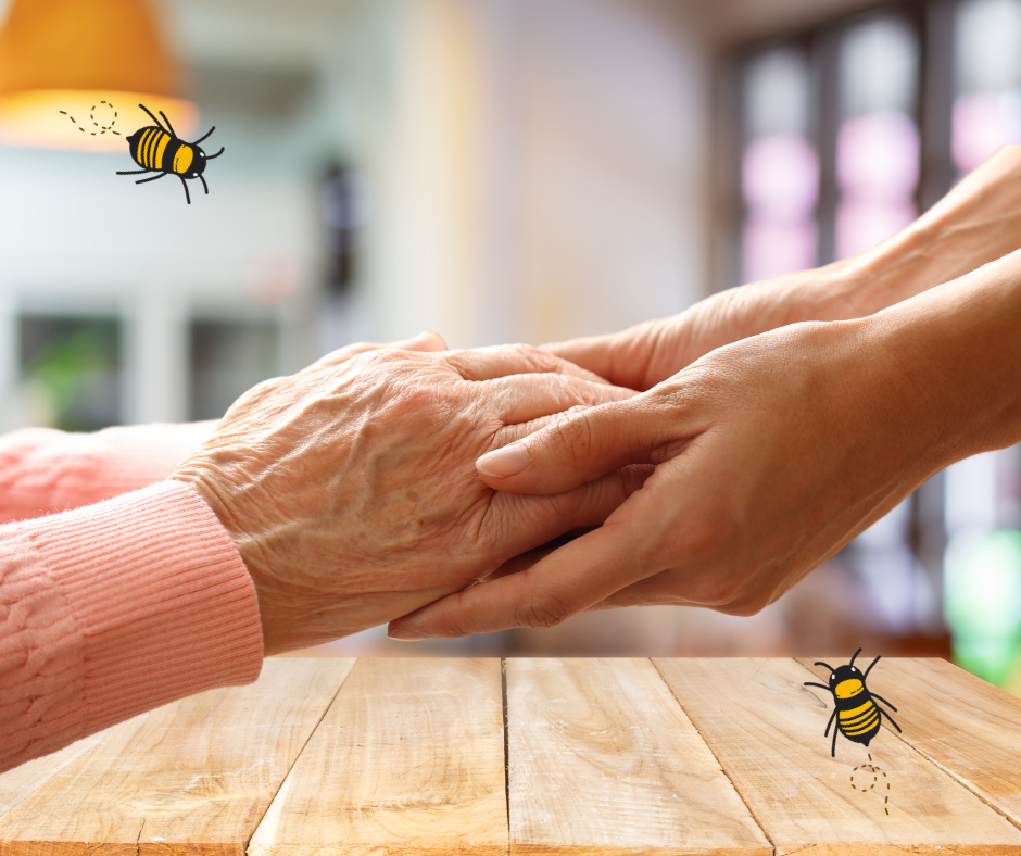 Companionship Services for Emotional Support & Socialising